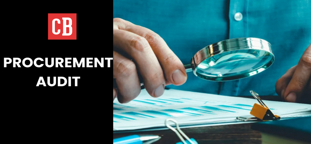 Merits of procurement audits - Organization Success